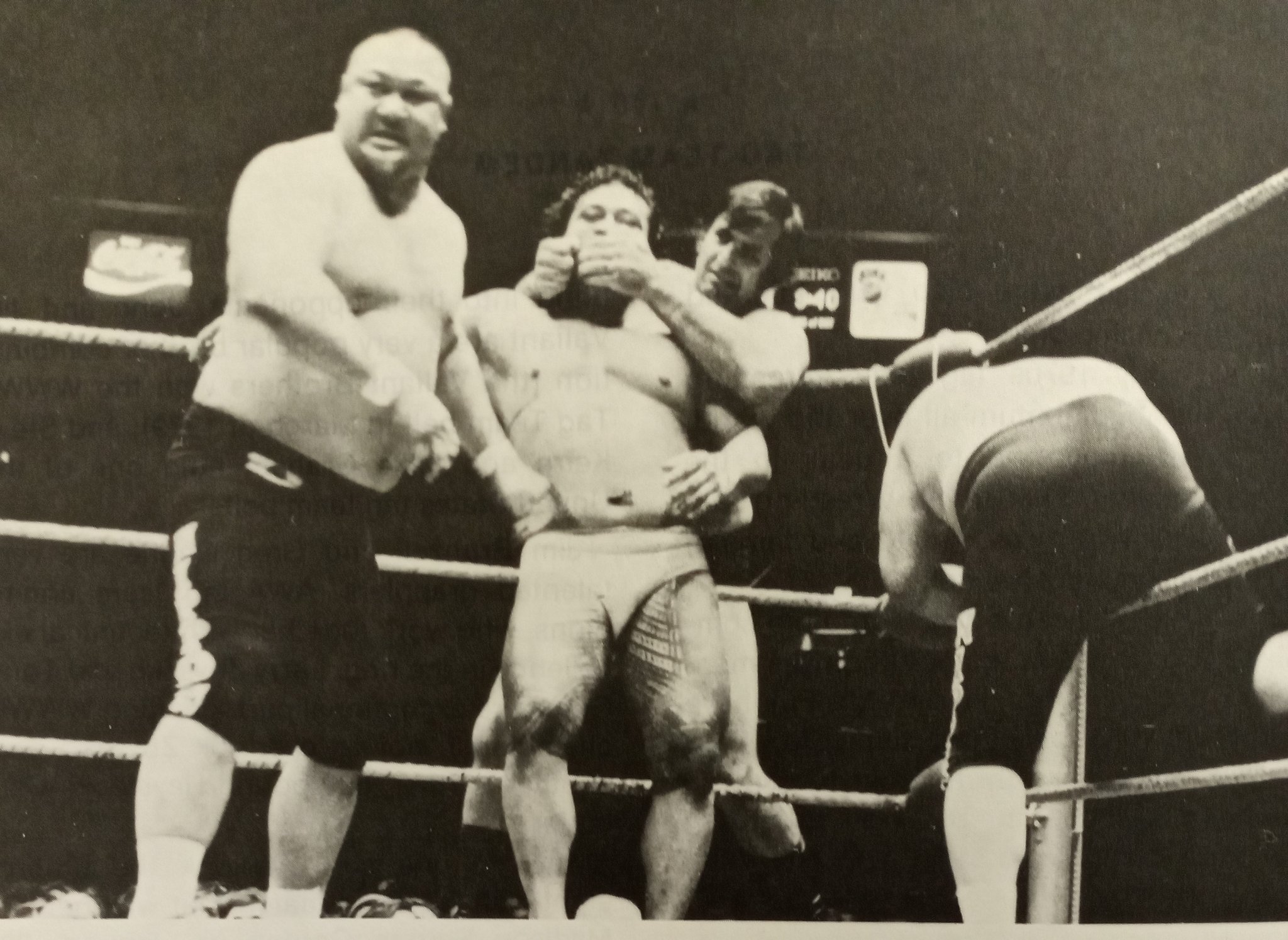 Professor Toru Tanaka And Mr. Fuji Any Mr. Fuji Fans Out There?!