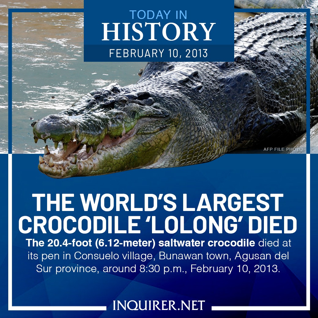 World Record Crocodile Lolong