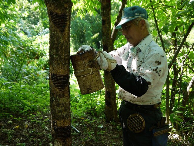Thread by @wrathofgnon: Visualizing the differences in average ceiling ...