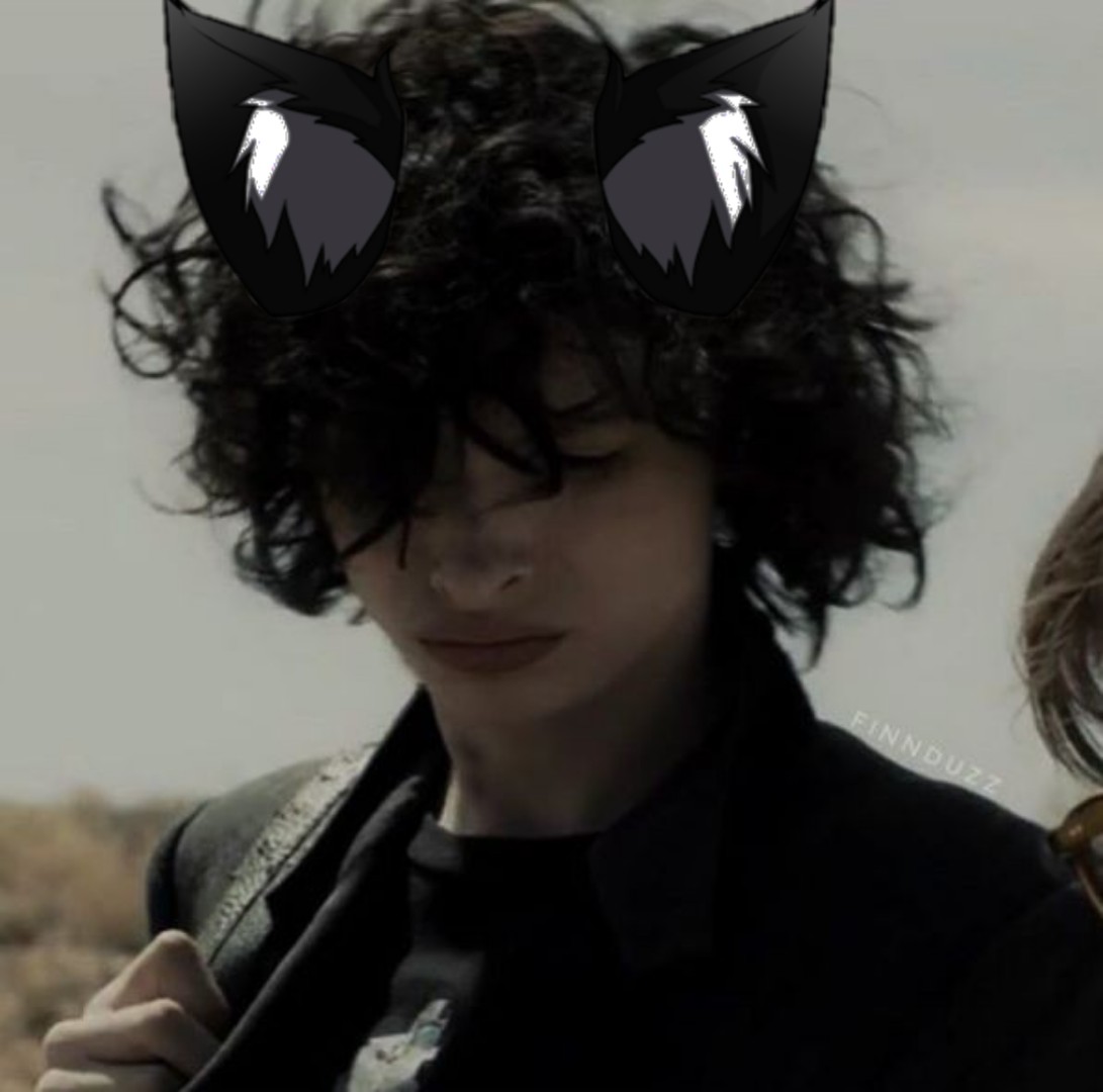 multifandom idiot (@ItsaFinnthing1) | Twitter