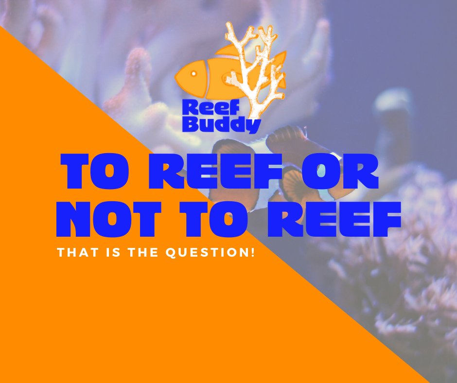 Reef Buddy on Twitter: "Are you a Reefer?? If so, we'd love to see your saltwater ecosystem! We ...