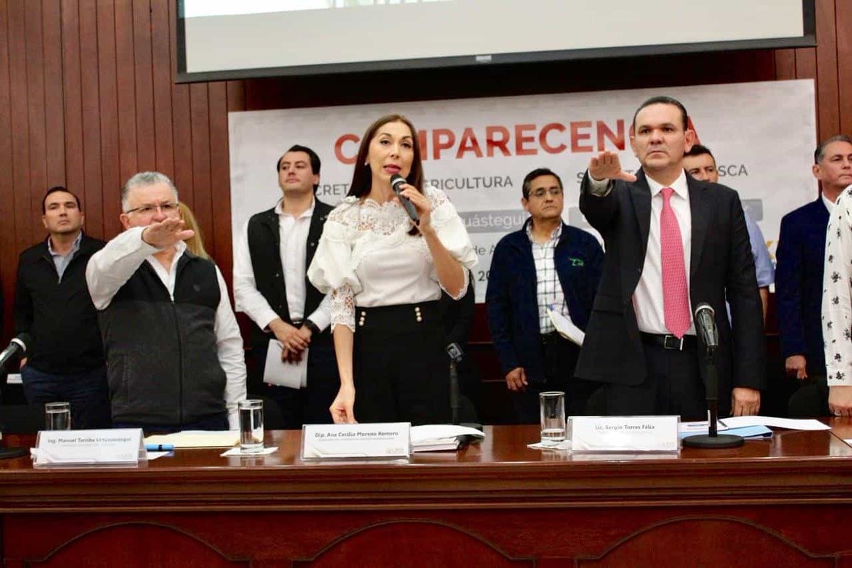 Teresa Quevedo (@TeresaQuevedo19) | Twitter