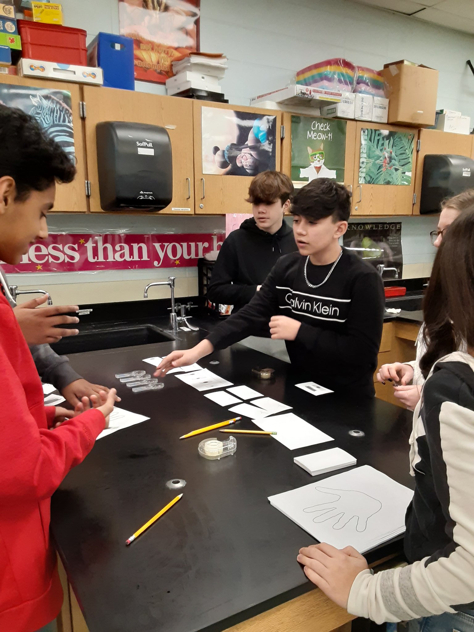 Bonnie Hohenshilt (@FTS_MathScience) / Twitter