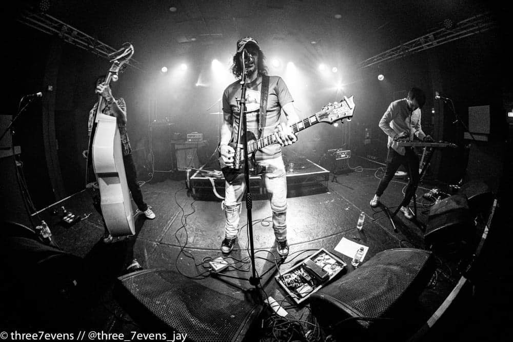 Concert Photography Fisheye