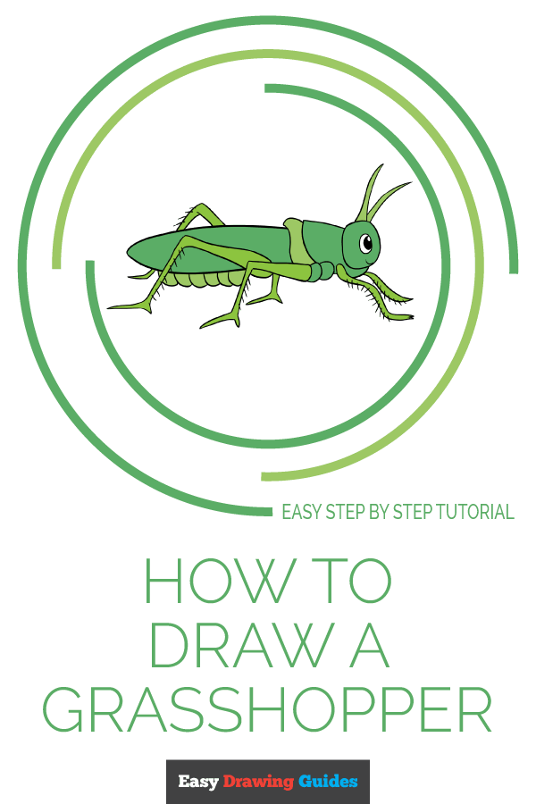 Easy Grasshopper Drawing