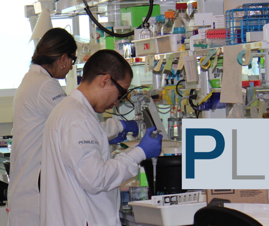 Pebble Labs Inc. (@pebble_labs) | Twitter