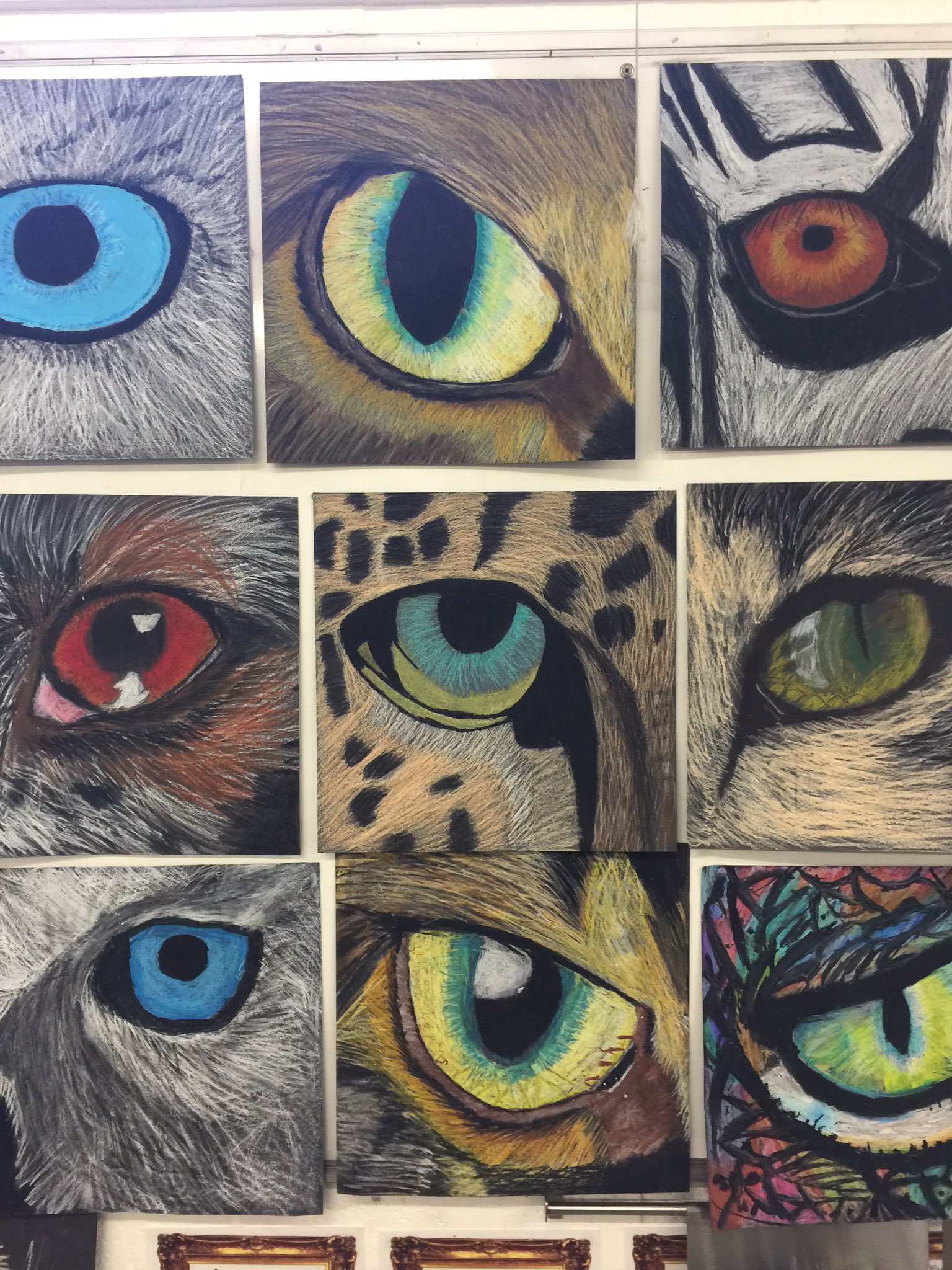 Animal Eye Drawing