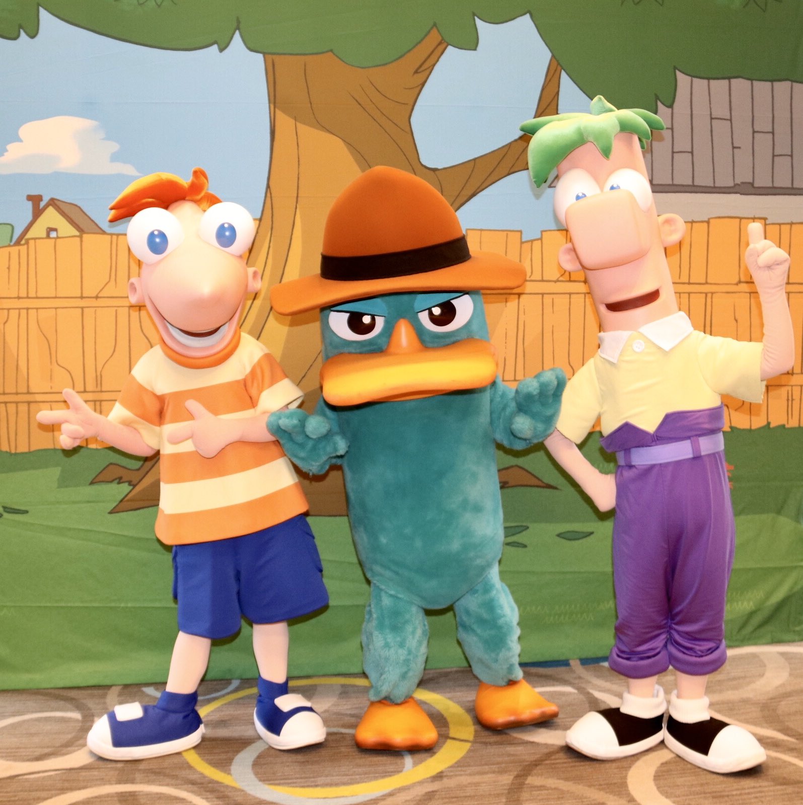 Agent P Phineas And Ferb