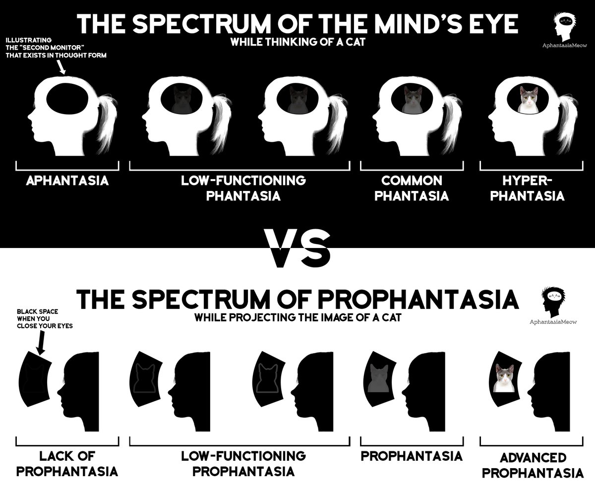 kinda weird : r/hyperphantasia