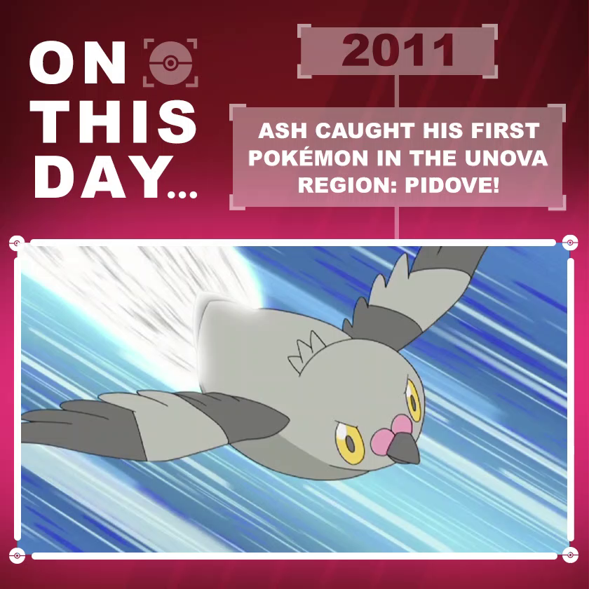 Ash Pokemon Unova