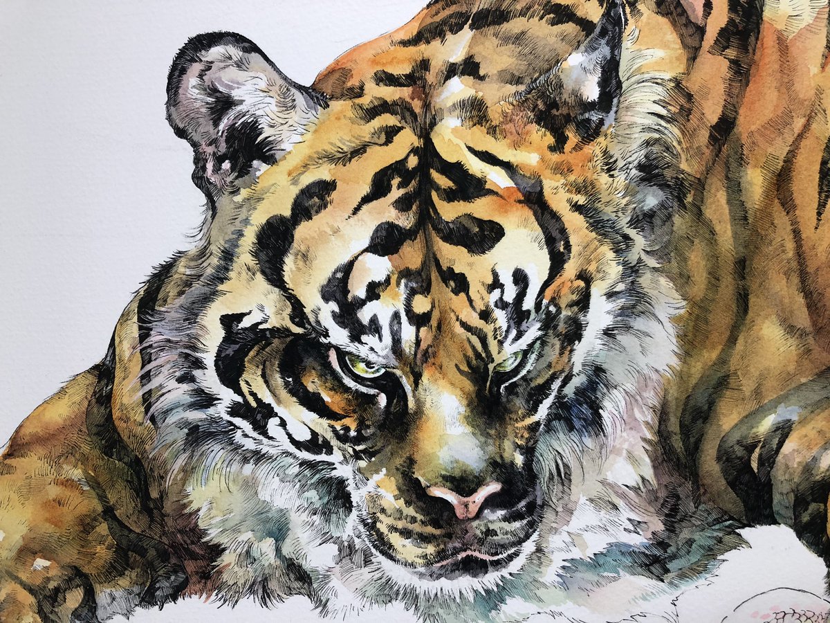 俺くん@絵 (@orekun_e) | Twitter