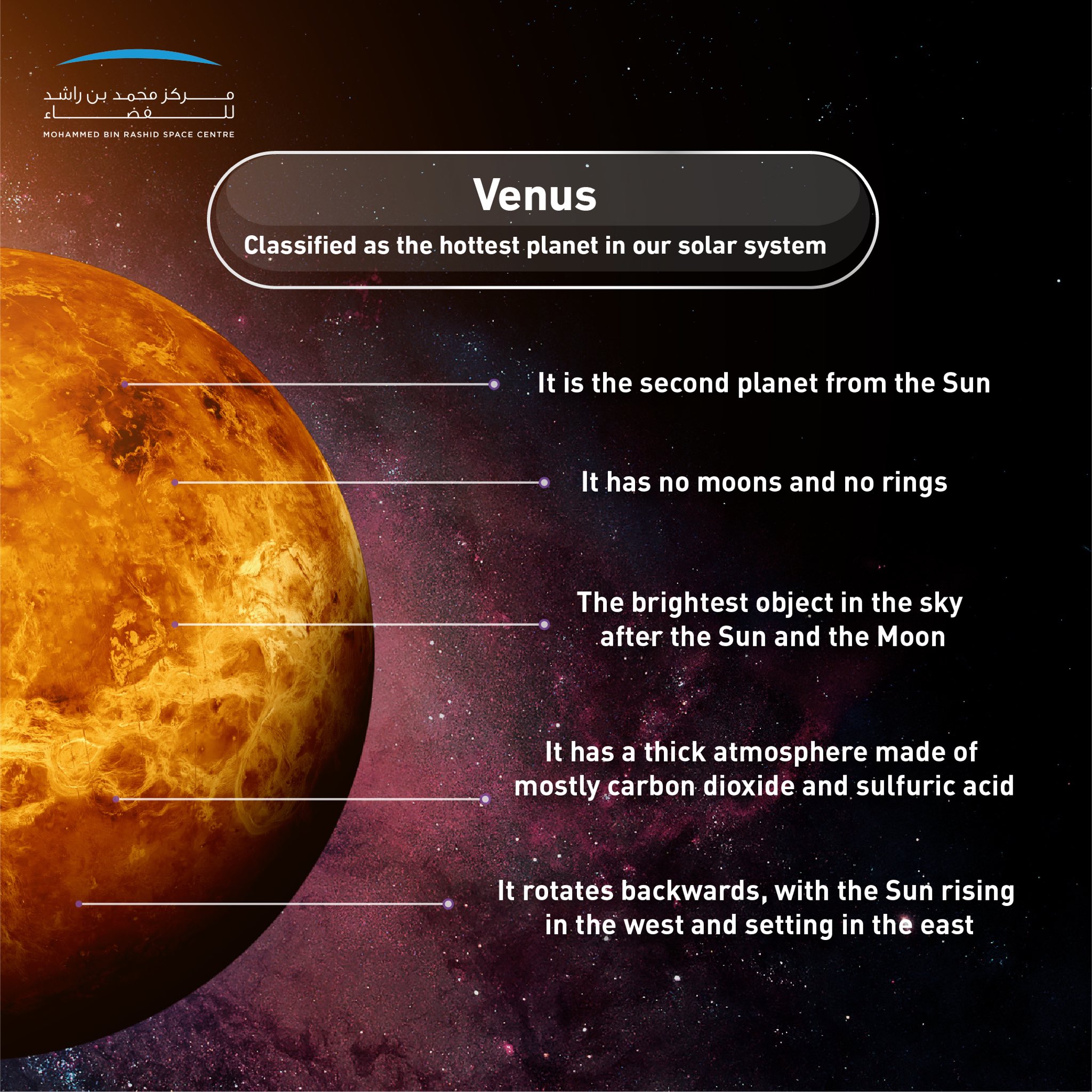 Venus Moons And Rings