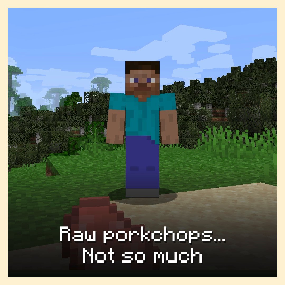 Minecraft Porkchop