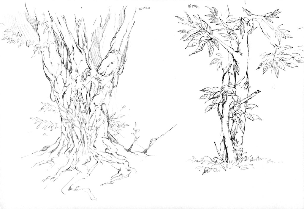 「งานtree practice 5-10นาทีในคาบ! 」นอกใจคนแก่ Social Detox | Commission OPEN |の漫画