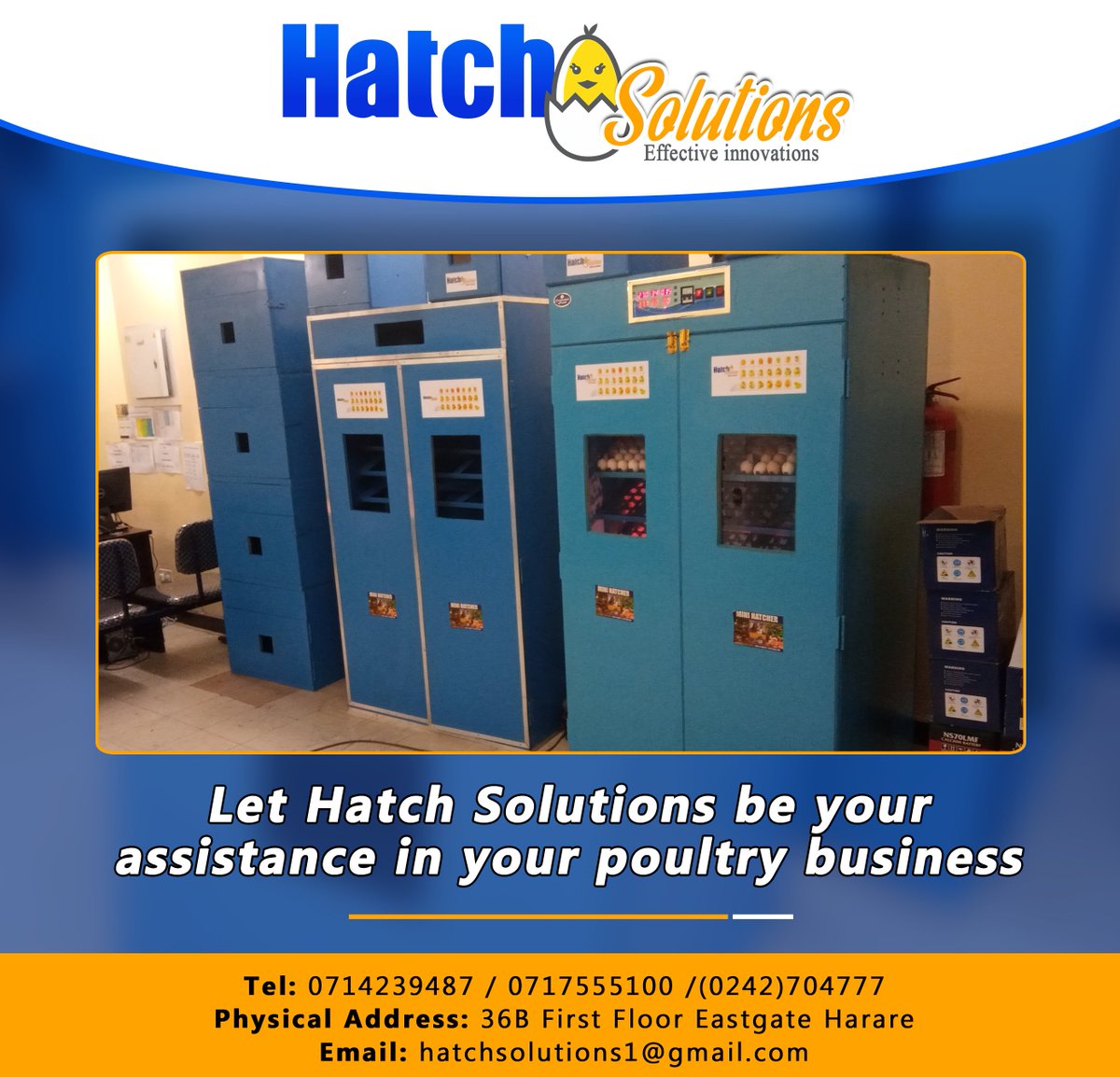 Hatch Solutions Zim (@solutions_hatch) | Twitter