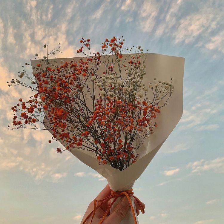 BB_Patcharin (@PatcharinBb) | Twitter