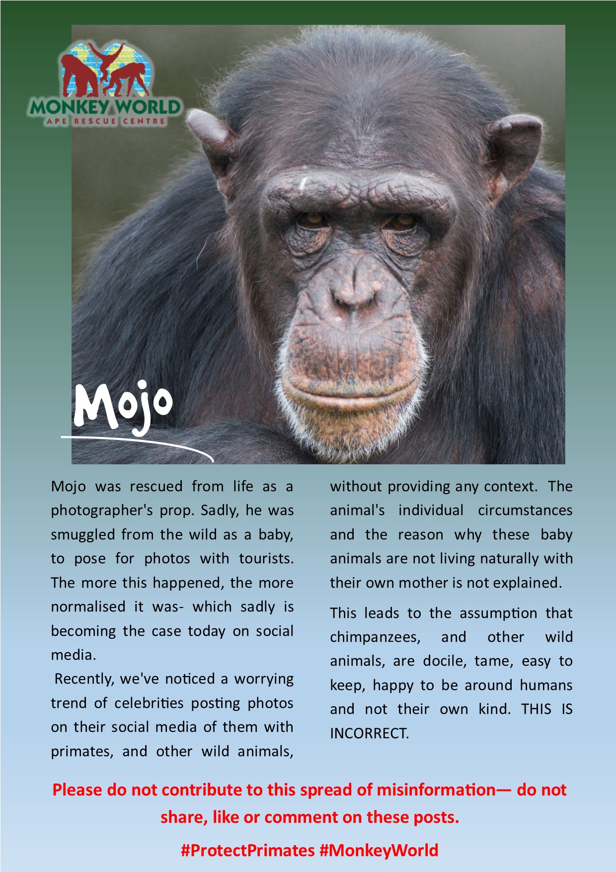 Mojo Monkey