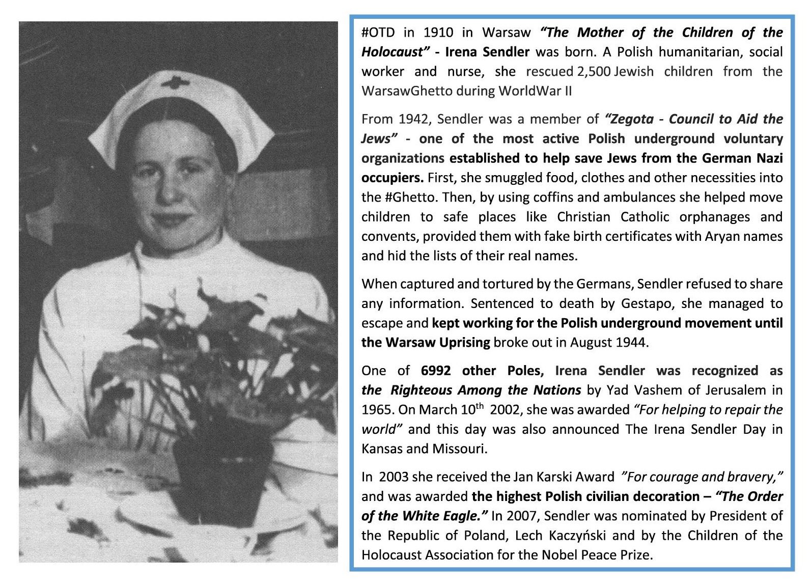 Irena Sendler During The Holocaust