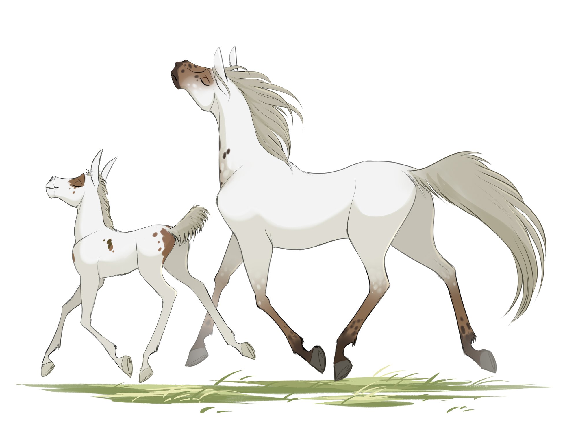 Spirit Stallion Of The Cimarron Foal Base