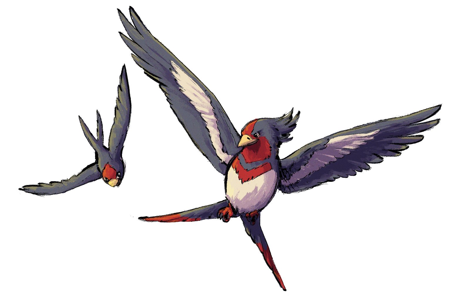 Swellow Evolution