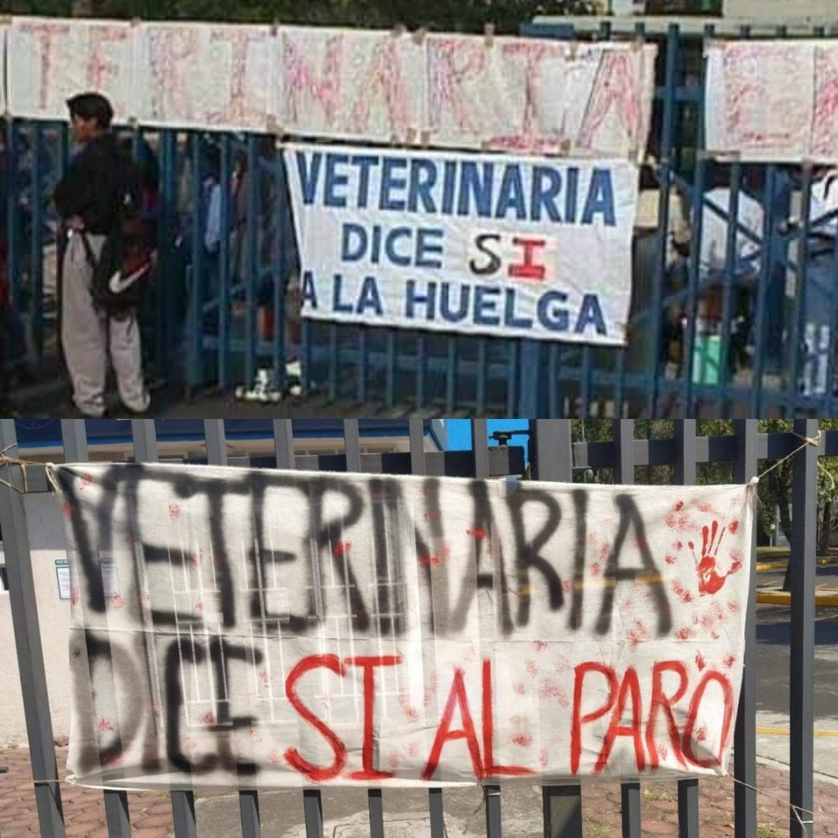 Mayra Olvera (@May_OlveraP) | Twitter