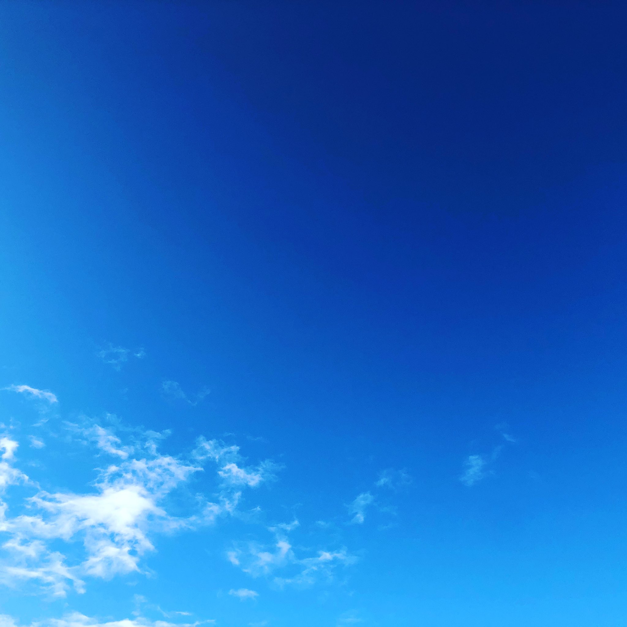 蓮舫💙💛RENHO🇯🇵 on Twitter: "おはよう！！！ https://t.co/lX5730mNQn" / Twitter