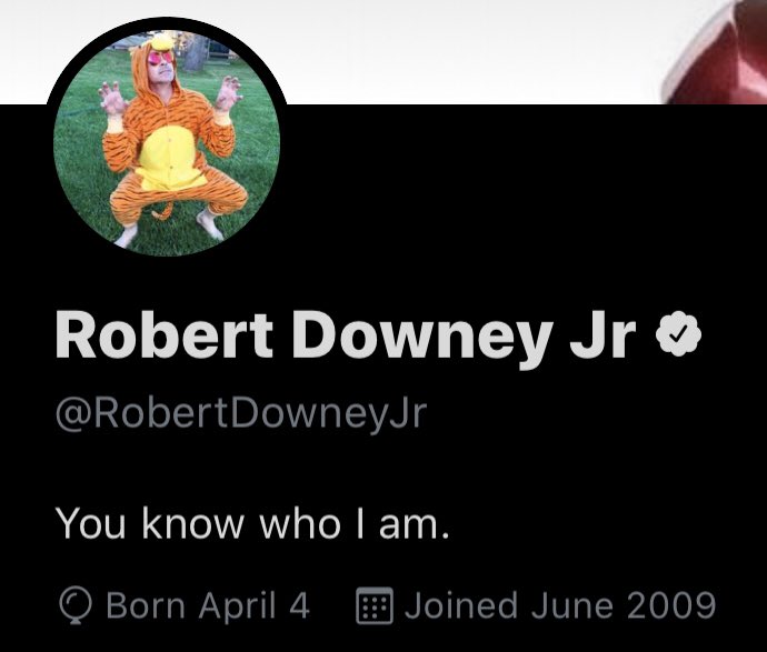 Robert Downey Jr Twitter