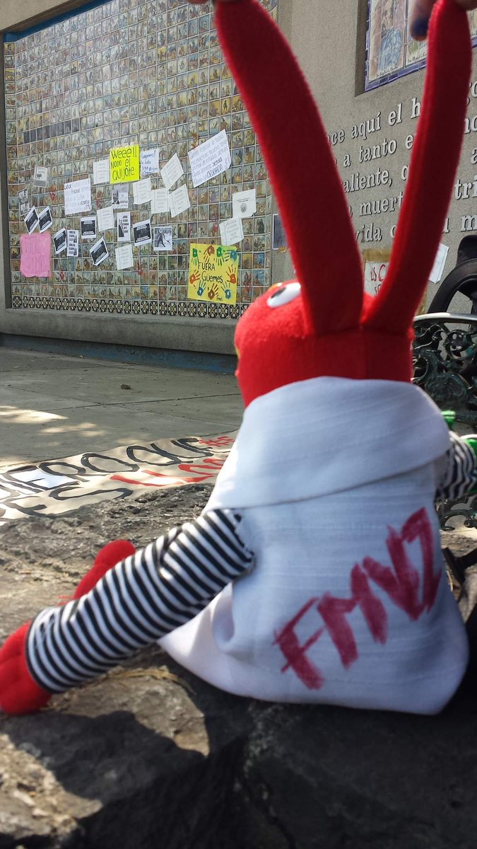 Mayra Olvera (@May_OlveraP) | Twitter