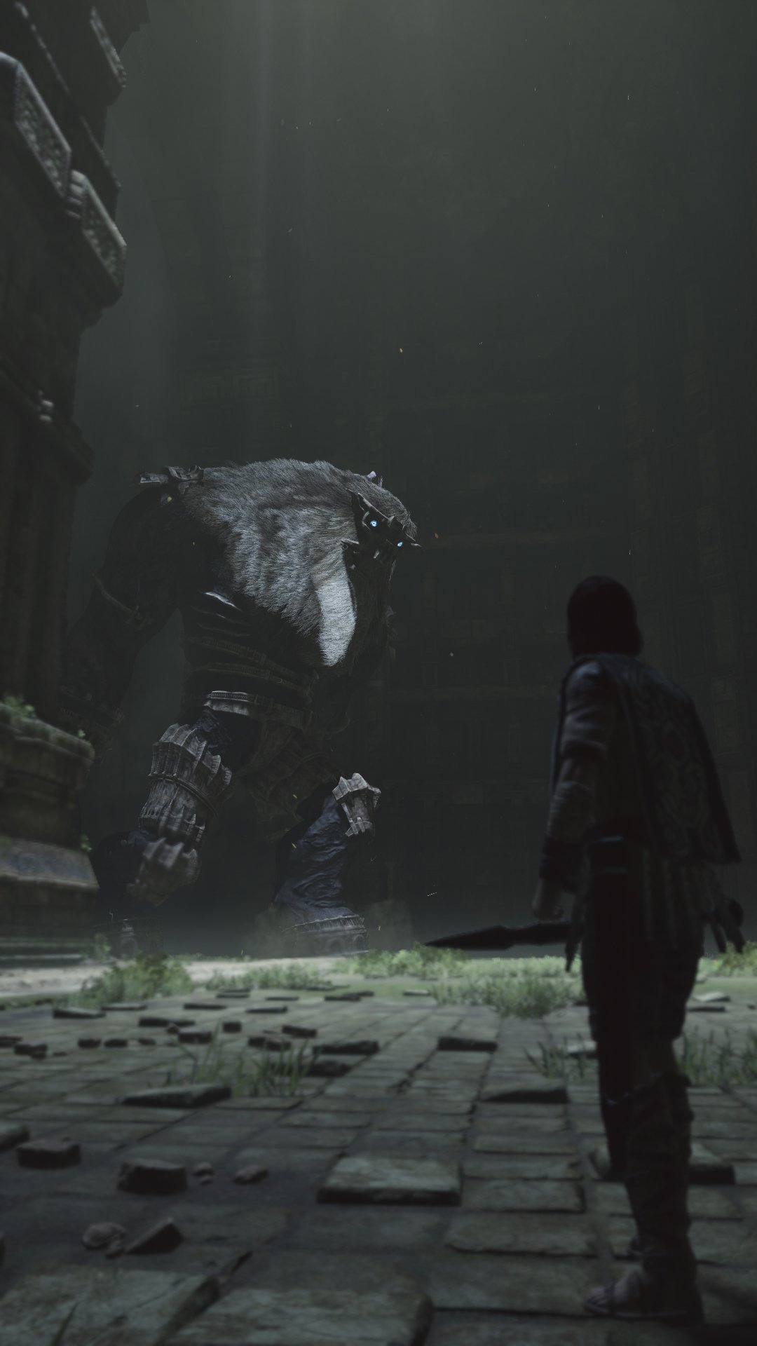 Shadow Of The Colossus Barba