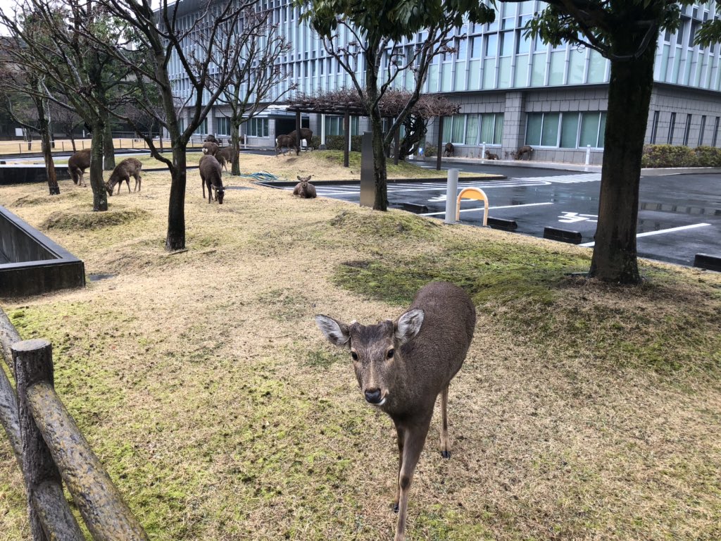 ころ (@tenkuu_1000) | Twitter