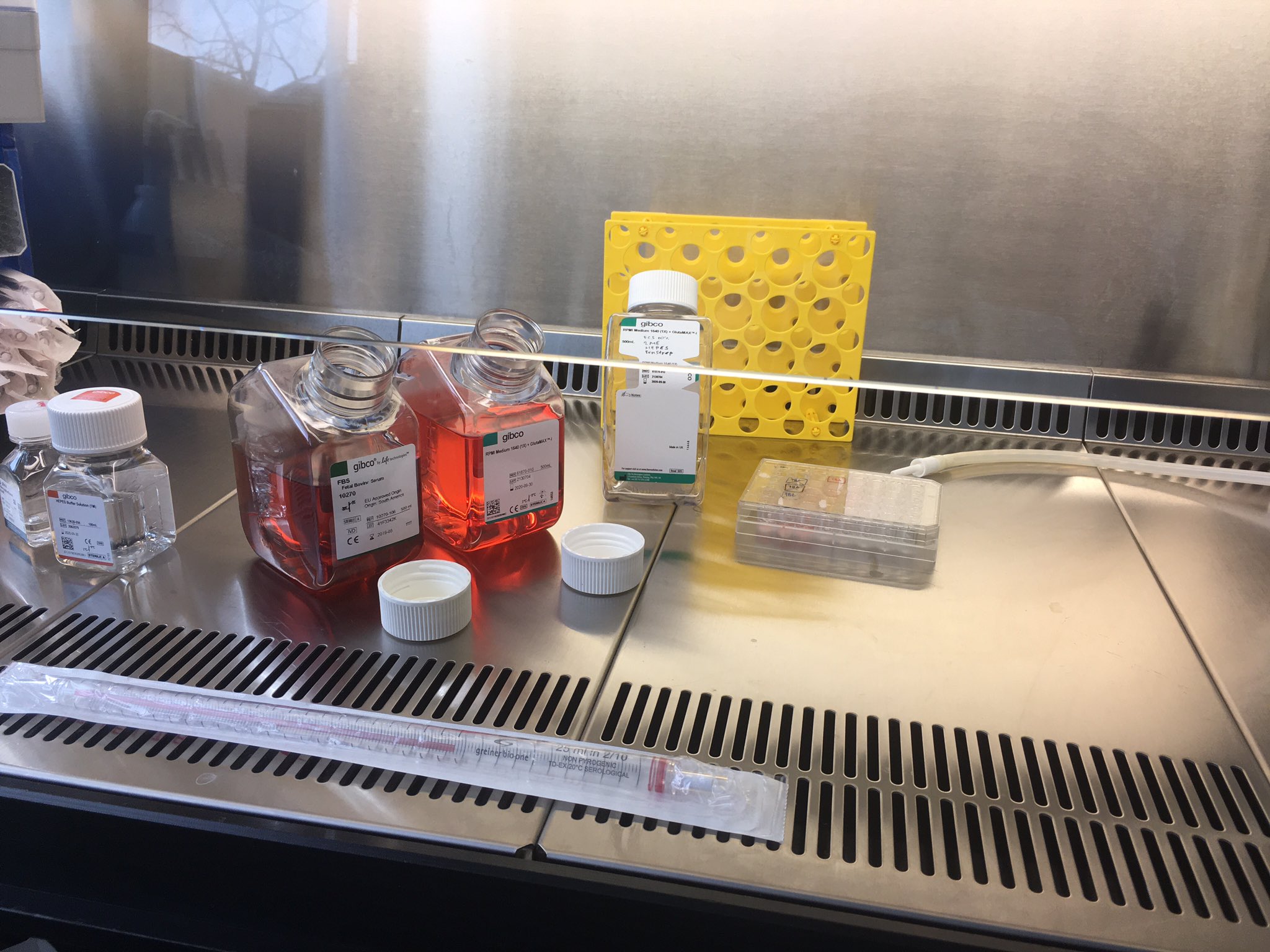 д нямбаяр On Twitter Ажлаа хийнгээ та нарт цаг гаргаж та нарт санаа зовж жиргээгээр санаа