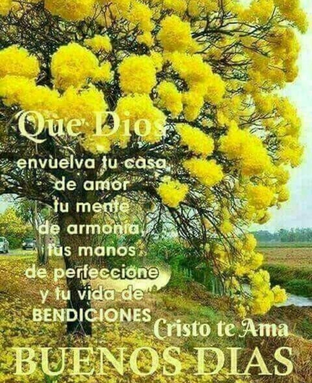 Buenos Dias Jesus Te Ama