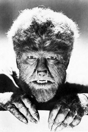Portland Werewolf (@pdxwerewolf) / Posts / X
