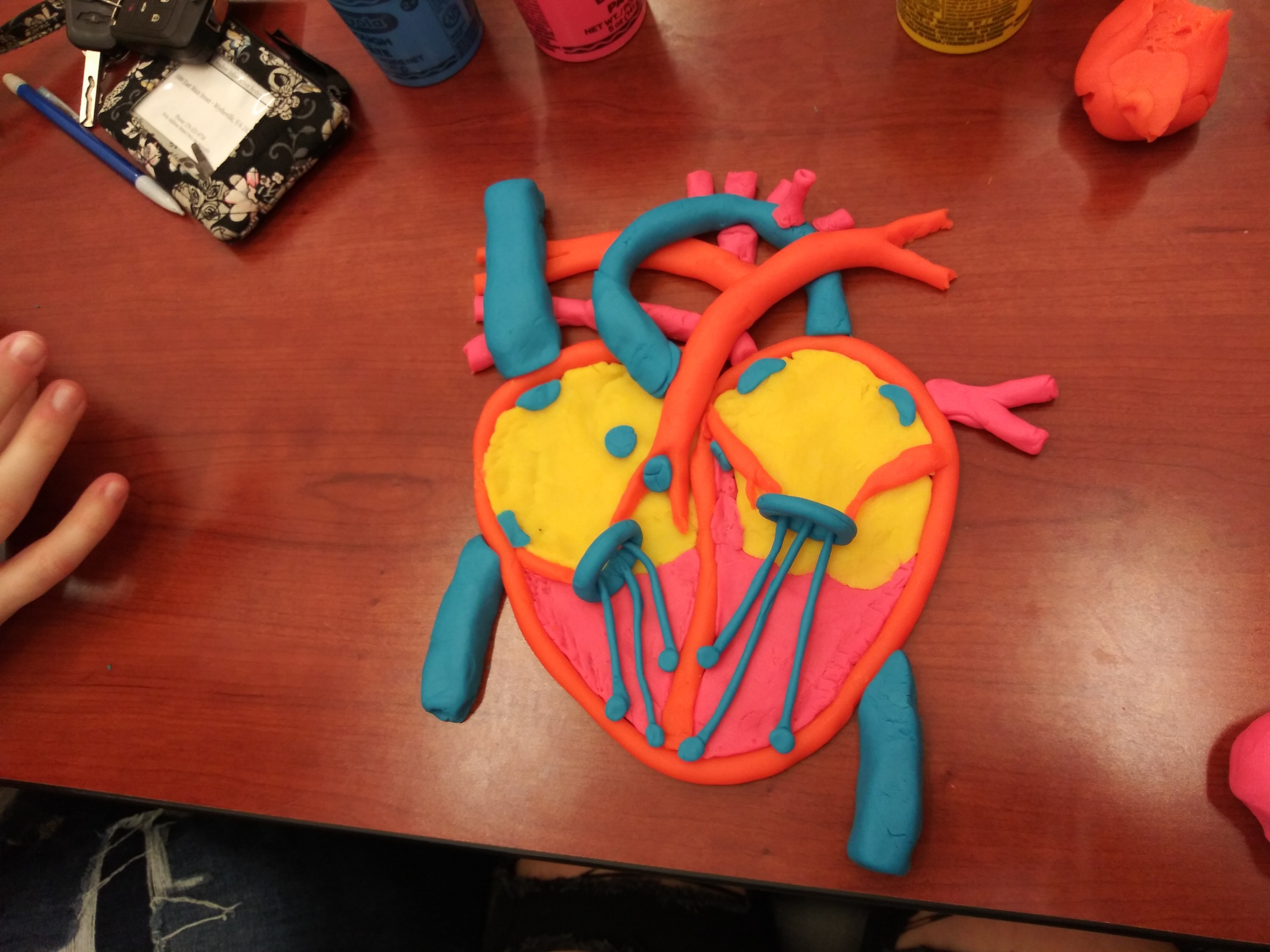 Play Doh Model Heart