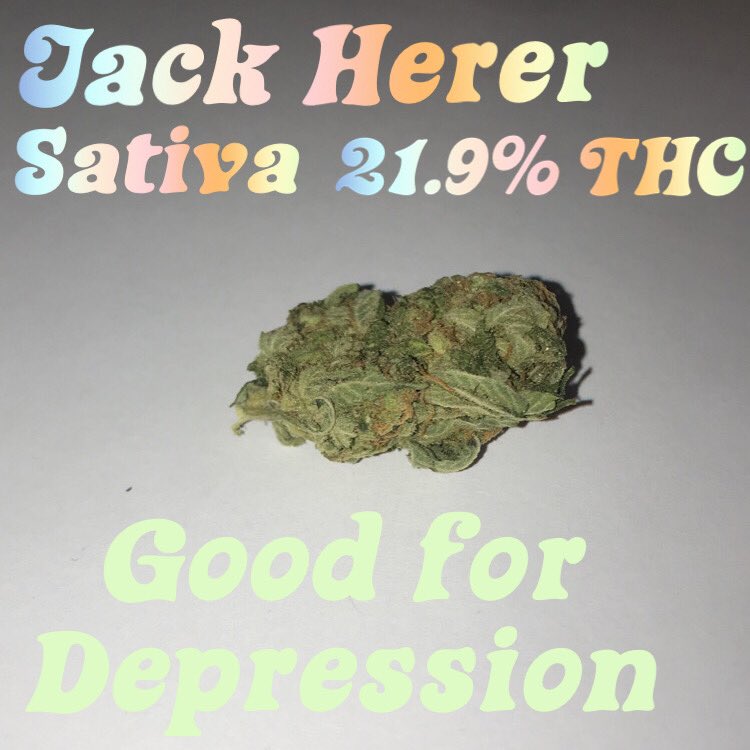 Cannabis & Curves (@cannabis_curves) | Twitter