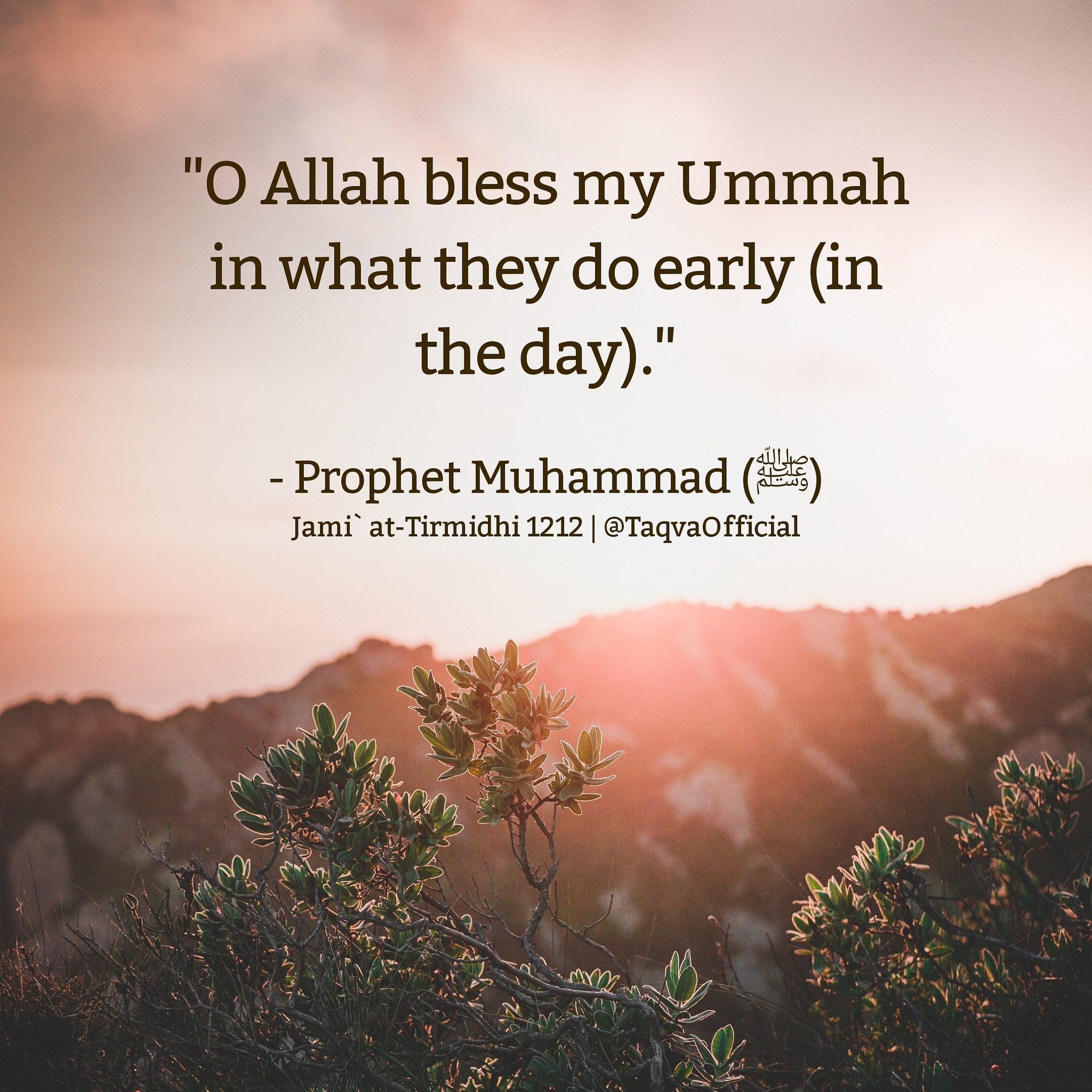 Muslim Ummah Quotes