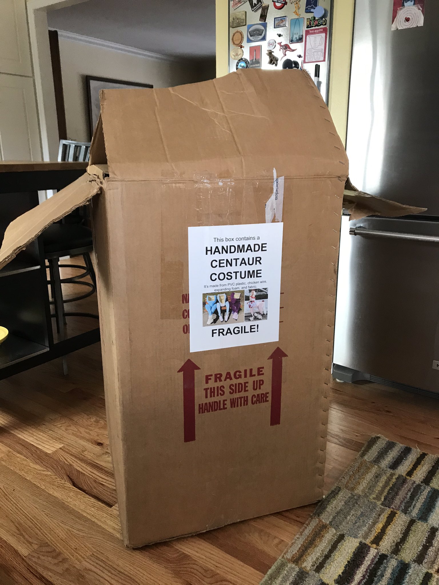 Fragile Box Costume