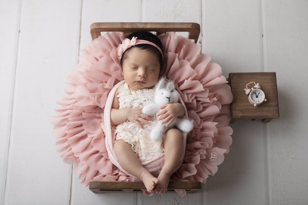 •Tiny Bear• (@TinyBear_SA) | Twitter