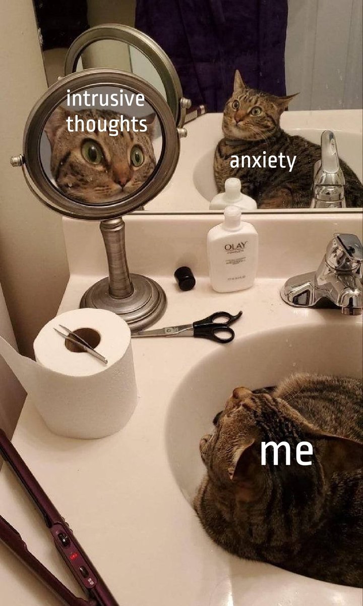 Anxiety Cat Memes
