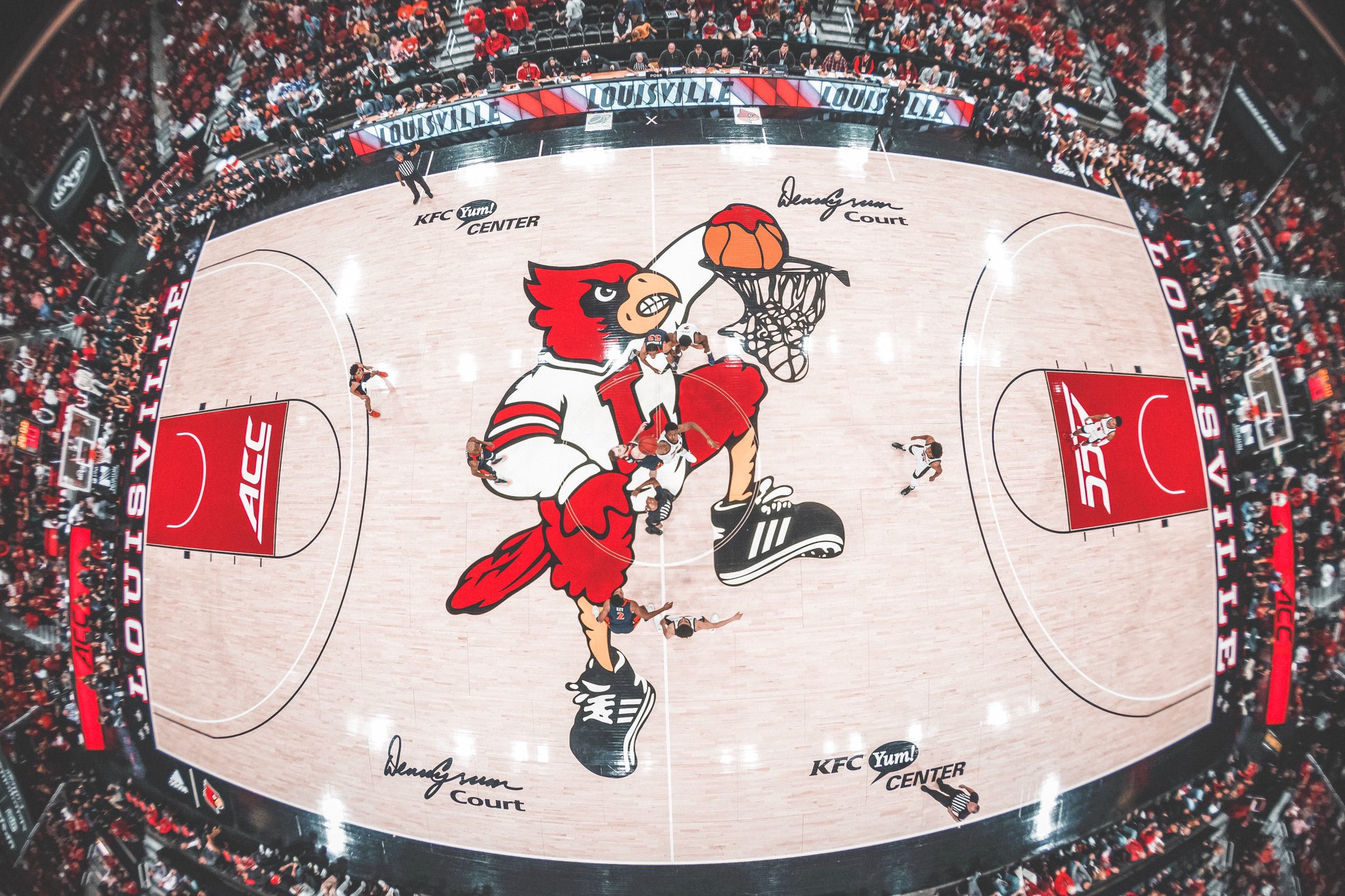 Louisville Basketball Logo