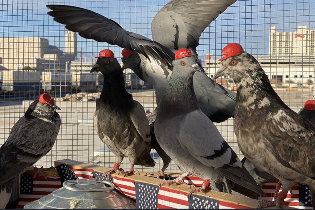 Has Mike Tyson been redeemed? > General Discussion > AR15.COM