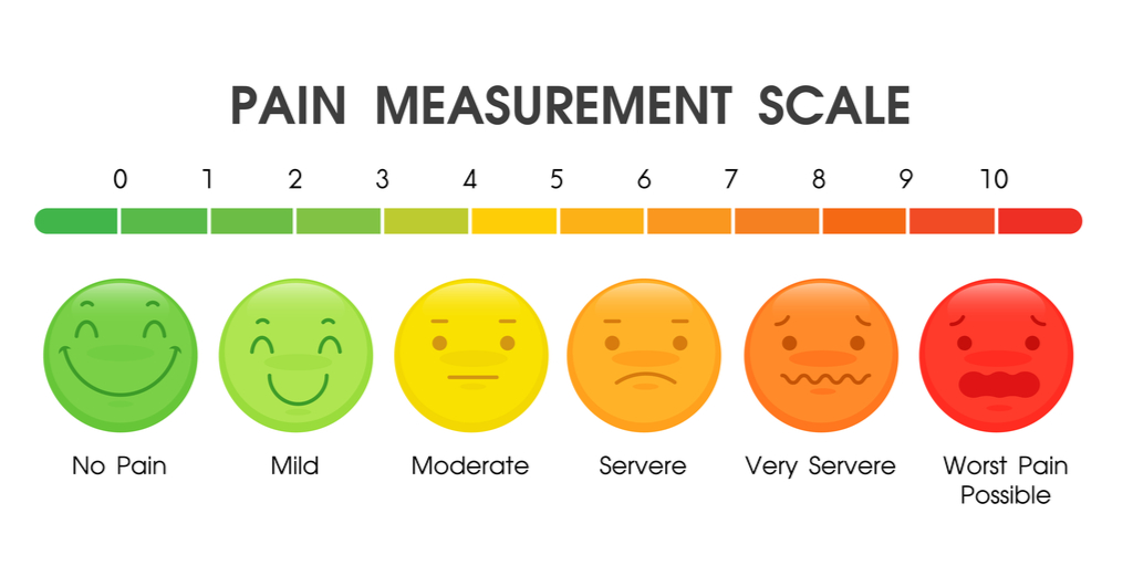 Bảng xếp hạng cuteness scale 1-10 cho thú cưng nhà bạn