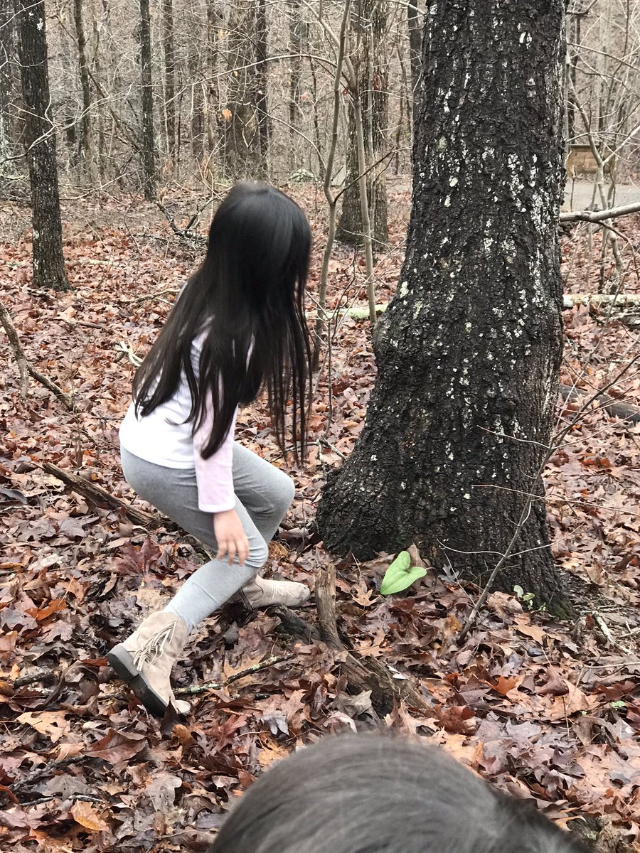 Lula Elementary School – Home of the Bulldogs