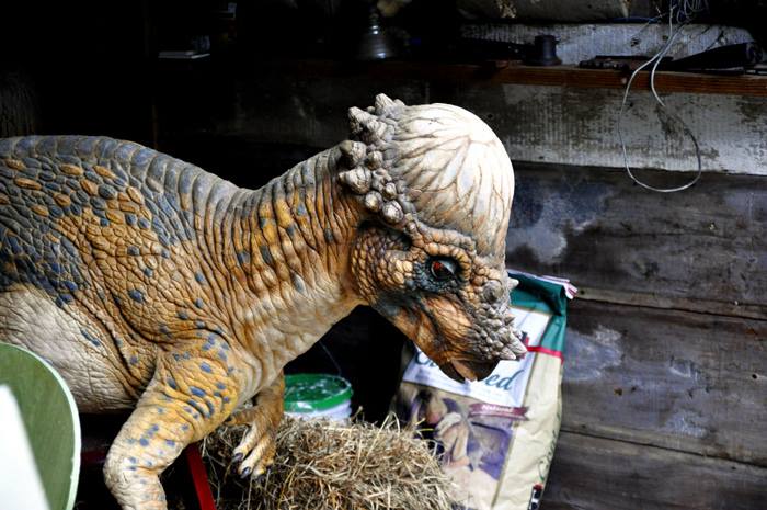 Pachycephalosaurus Jurassic Park