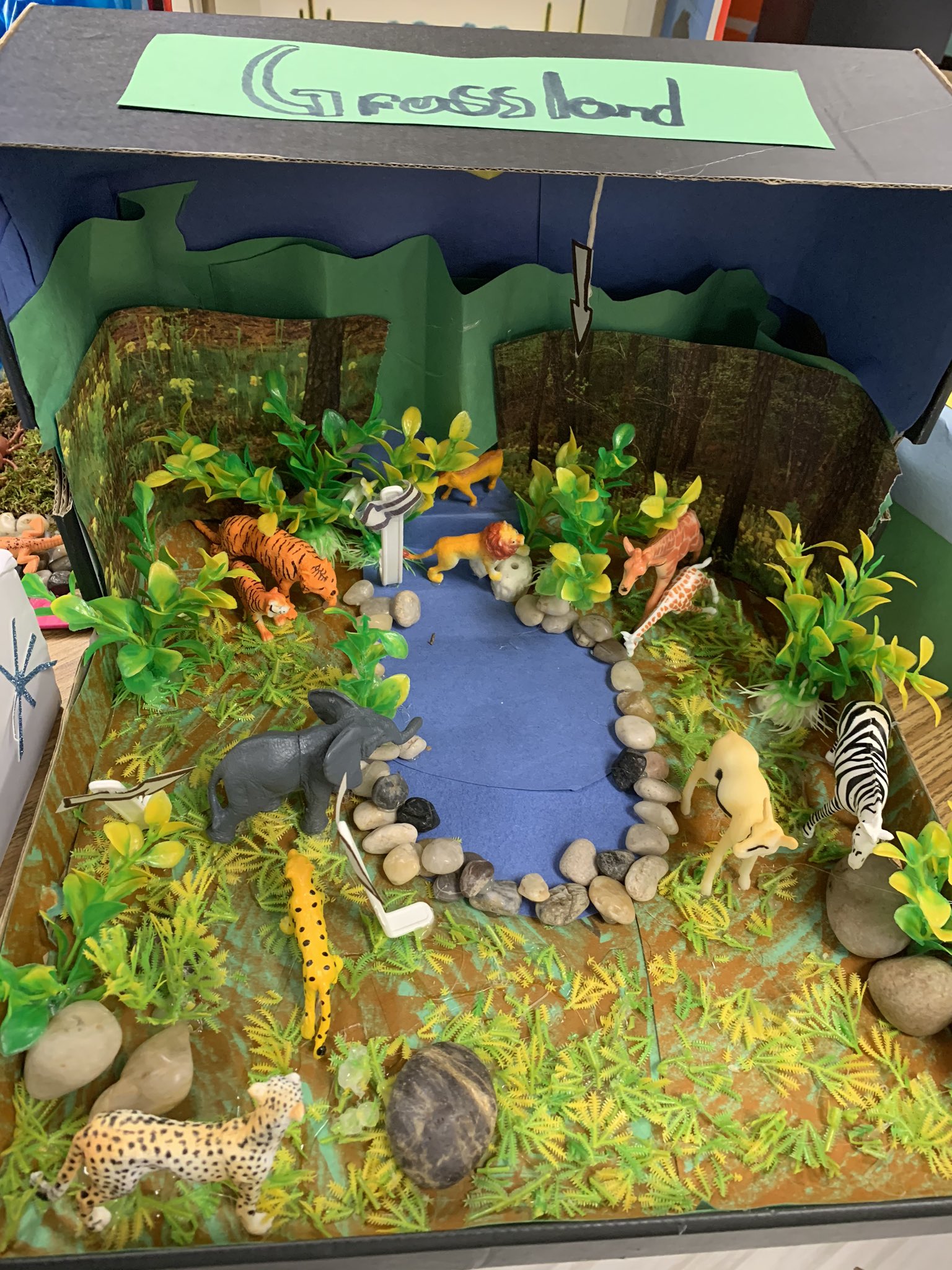 Grassland Ecosystem Diorama