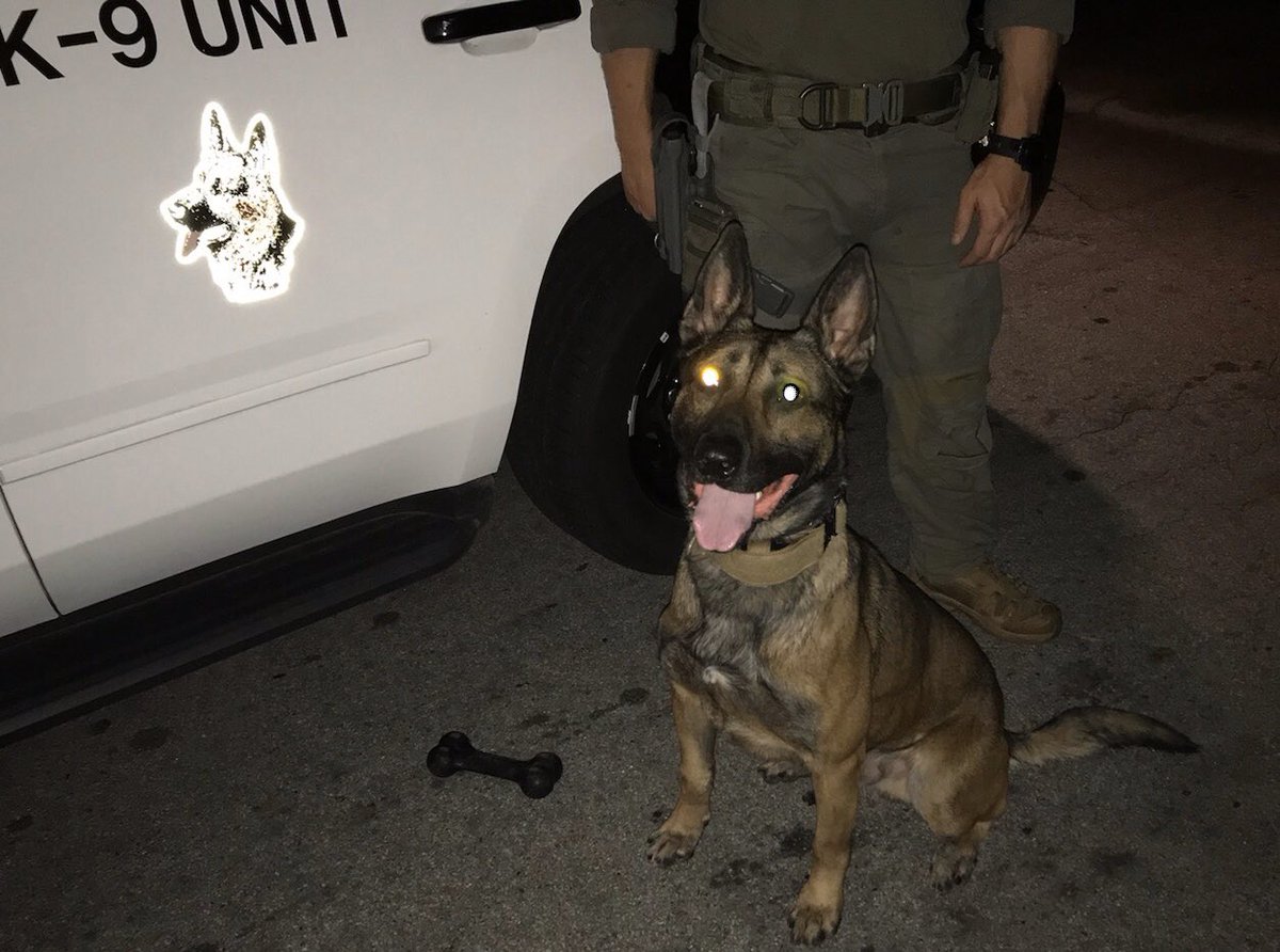 newsroom | Los Angeles County Sheriff's Department