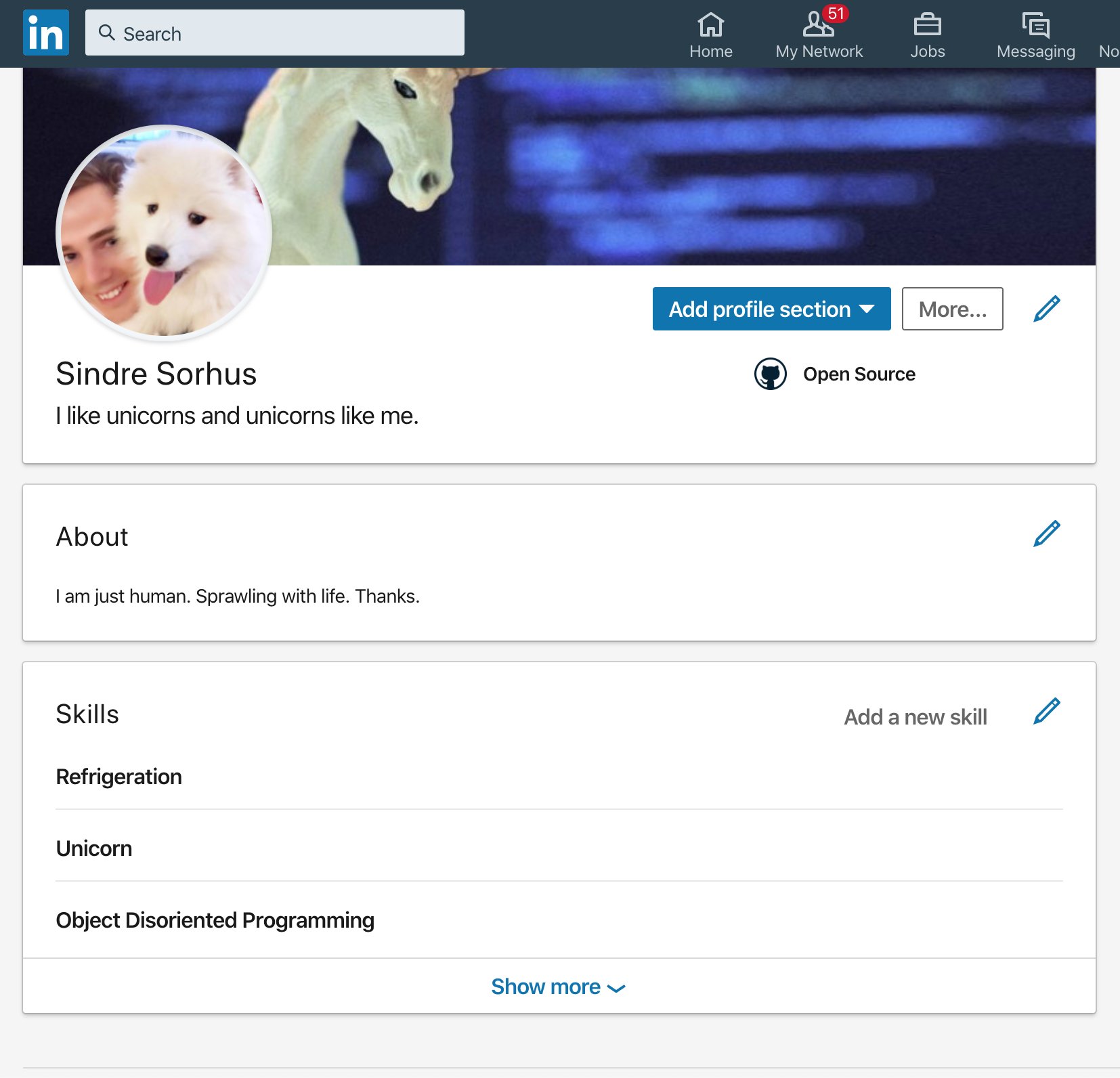 Sindre Sorhus on Twitter: "This is my actual LinkedIn profile. I don't really get job offers ...