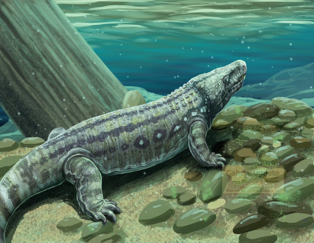 Devonian Period Reptiles