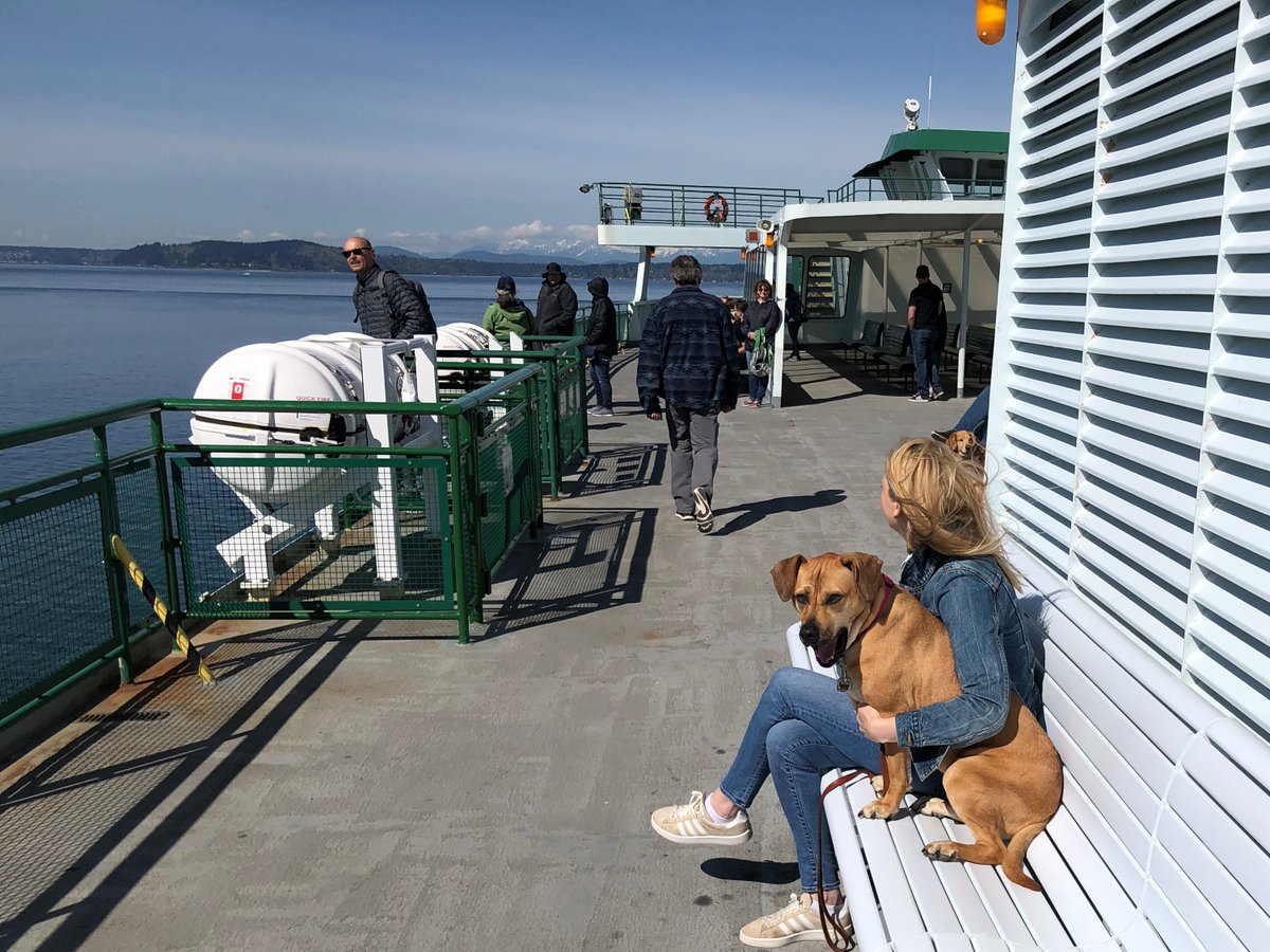 Can You Take A Dog On A Washington State Ferry