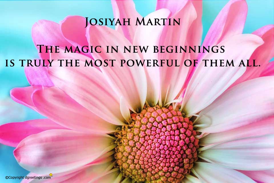 Inspirational Flower Pictures